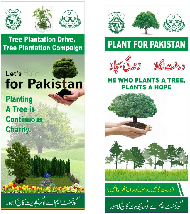 Plant for Pakistan | Govt. M.A.O Graduate College, Lahore